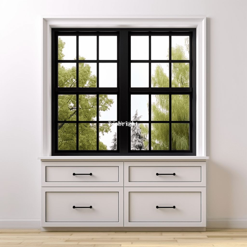 Single Hung Window